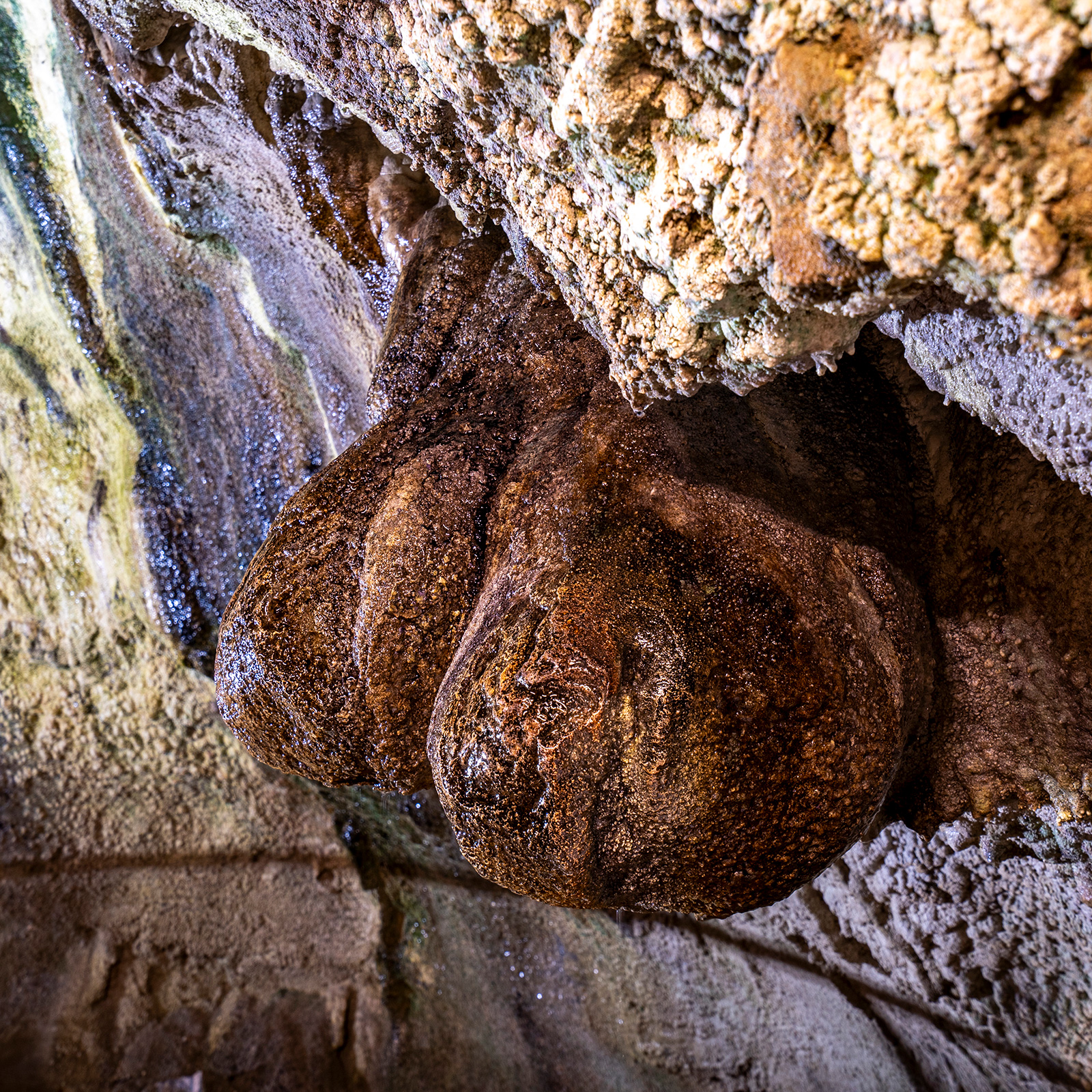 乳房岩 – 滝観洞｜岩手県住田町の鍾乳洞